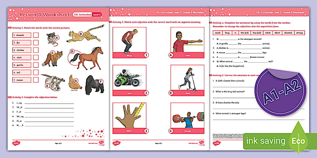ESL Curriculum Level 5, Lesson 8 Worksheet (teacher made)