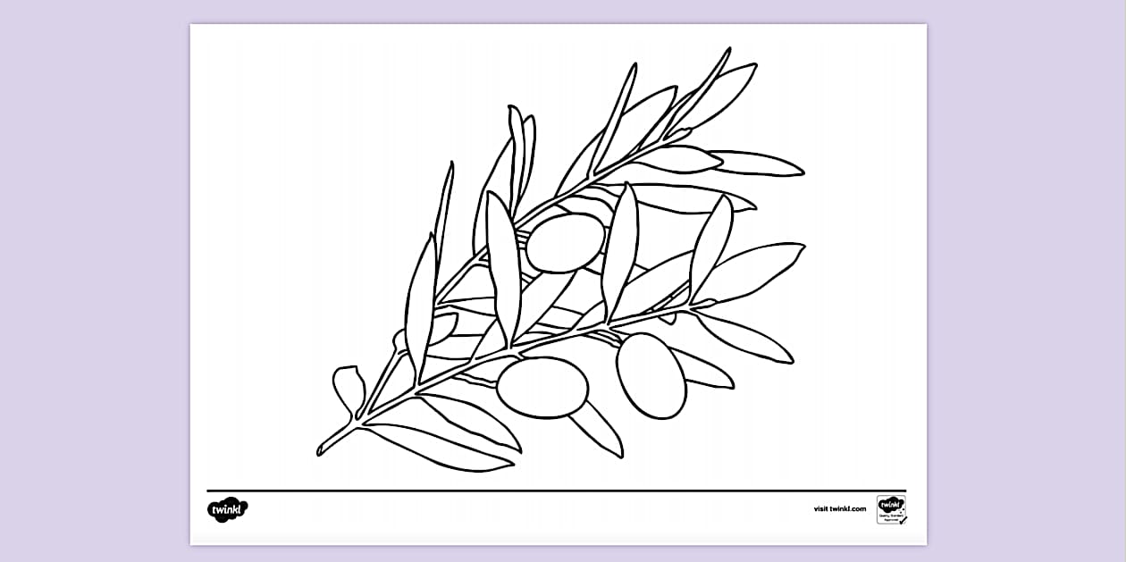 Olive Branch Plant Colouring Sheet (Teacher-Made) - Twinkl