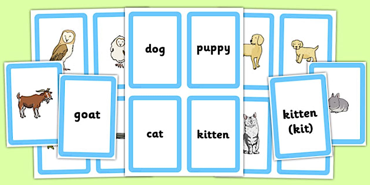 Dyslexic Animals and Their Young Matching Picture and Word Cards