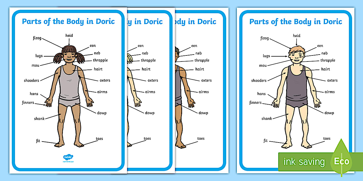 Doric Poster | Twinkl Resources - Twinkl