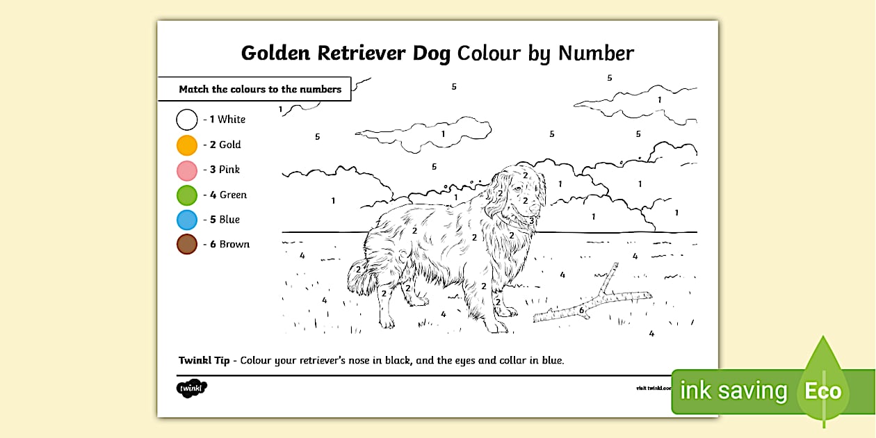Golden Retriever Dog Colour By Number (Hecho por educadores)