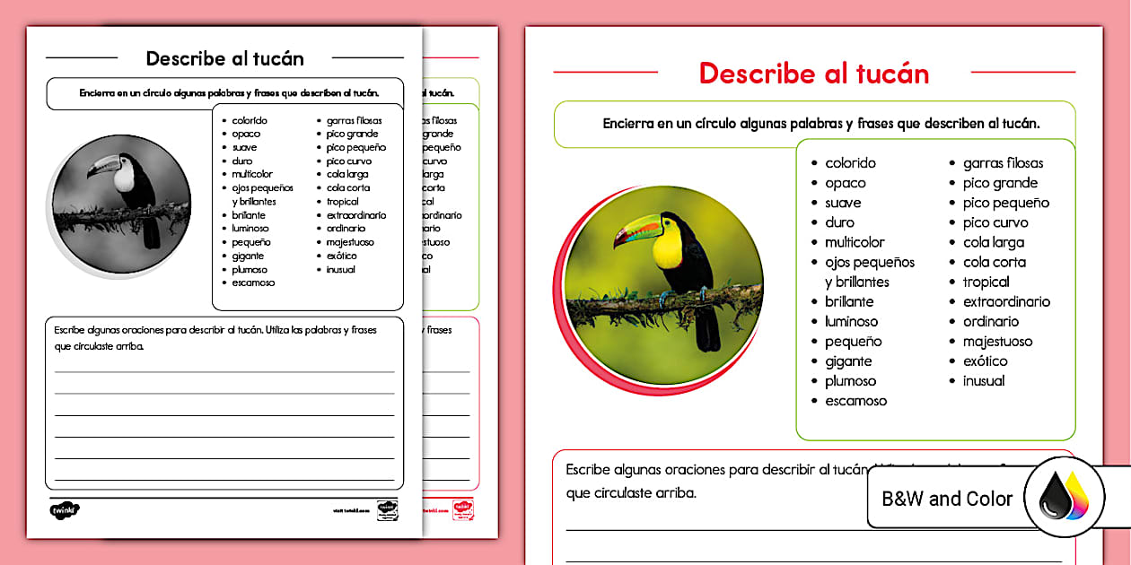 Actividad de escritura: Describe al tucán (teacher made)