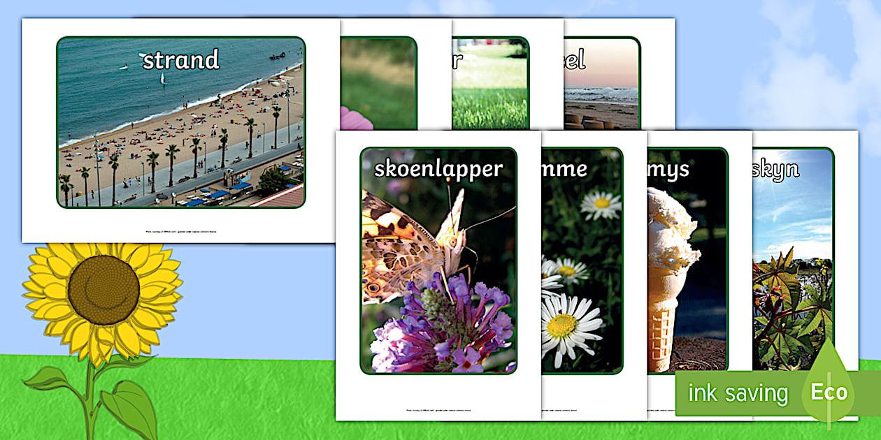 Somer Vertoning foto's (Teacher-Made) - Twinkl