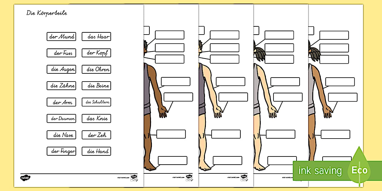 Dyslexic Body Parts Labelling Activity German - Twinkl