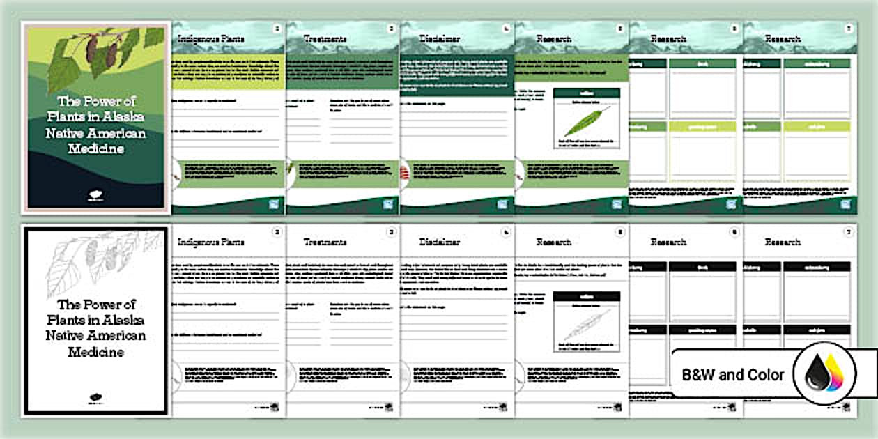 The Power of Plants: Alaska Native American Medicine Activity Booklet for