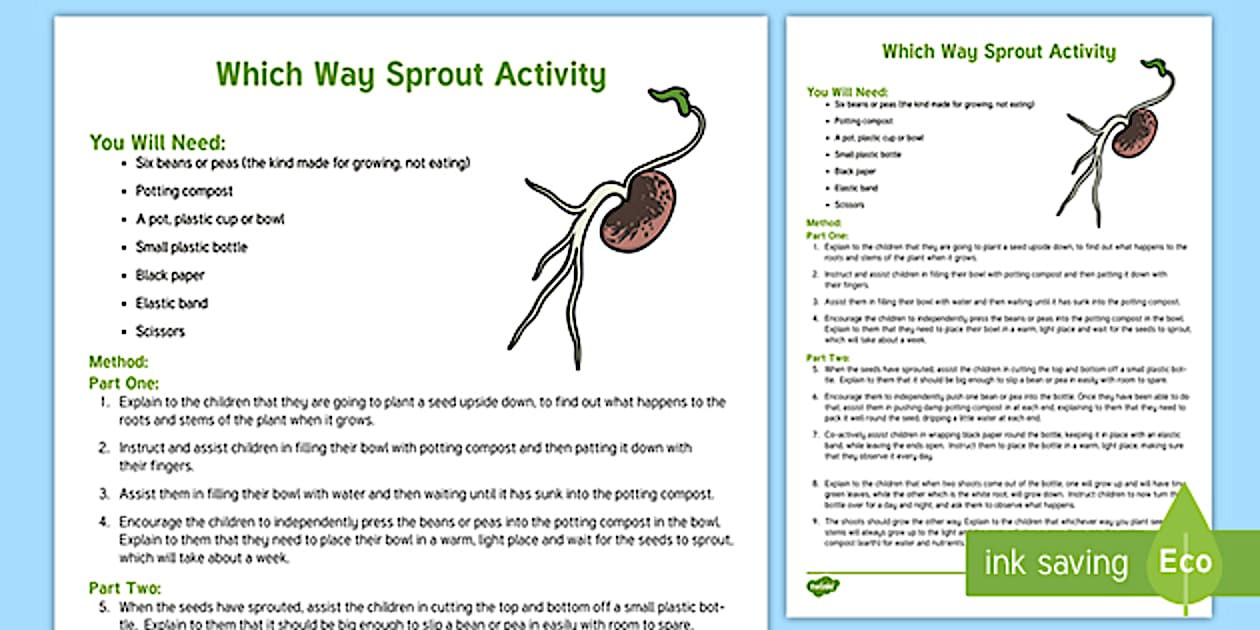 Which Way Sprout Activity - English - Twinkl