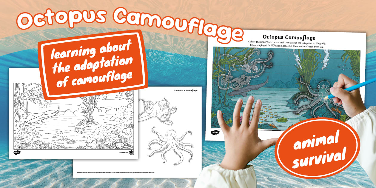 Octopus Camouflage Colour and Cut Activity Sheet