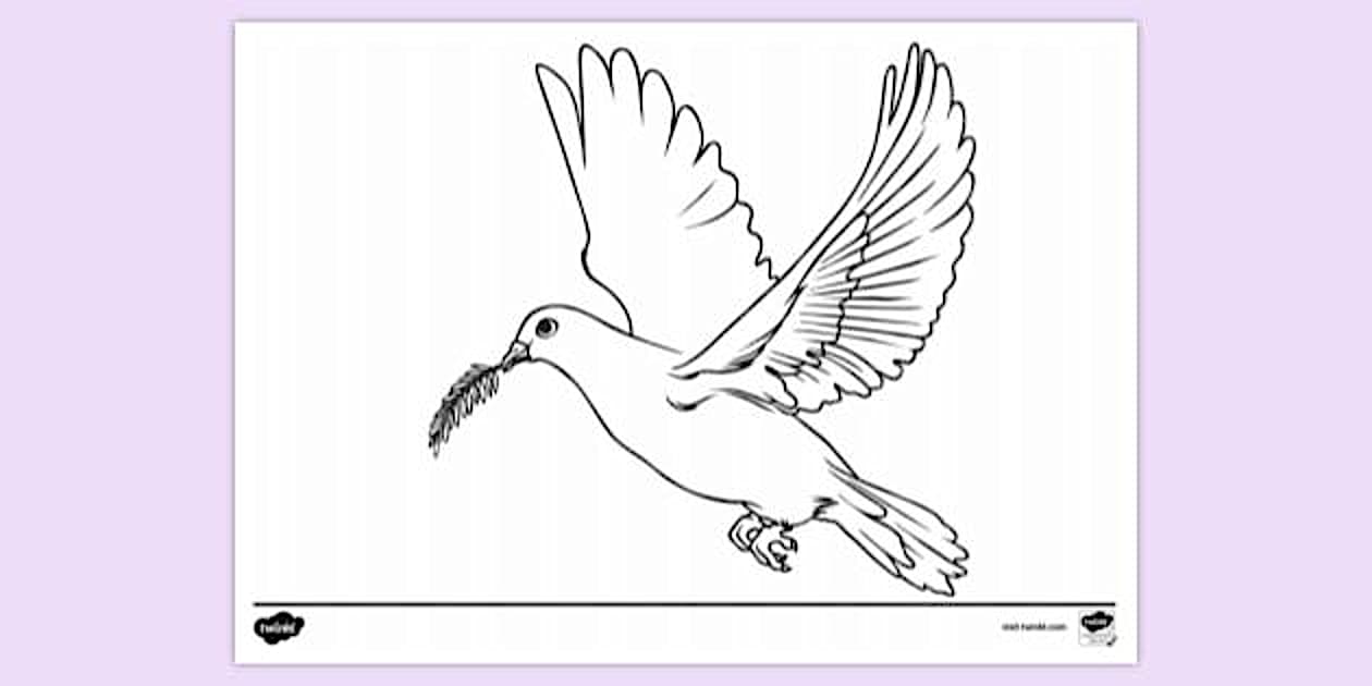 Confirmation Dove Olive Branch Colouring Sheet - Twinkl