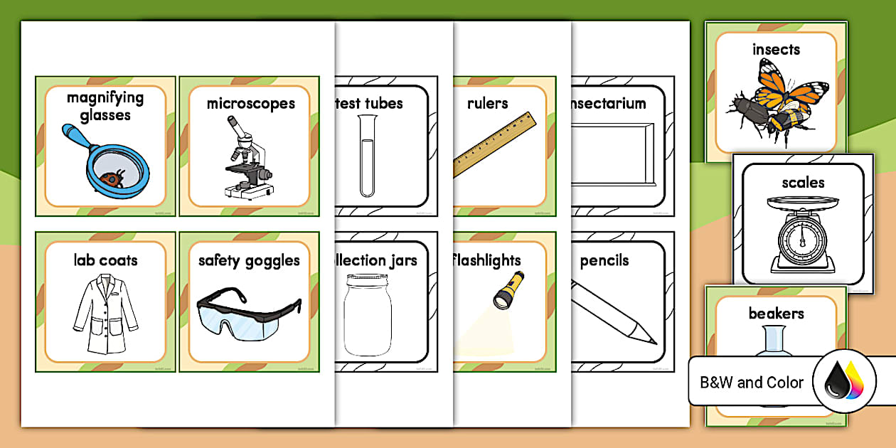 Entomology Lab Dramatic Play Labels (teacher made) - Twinkl