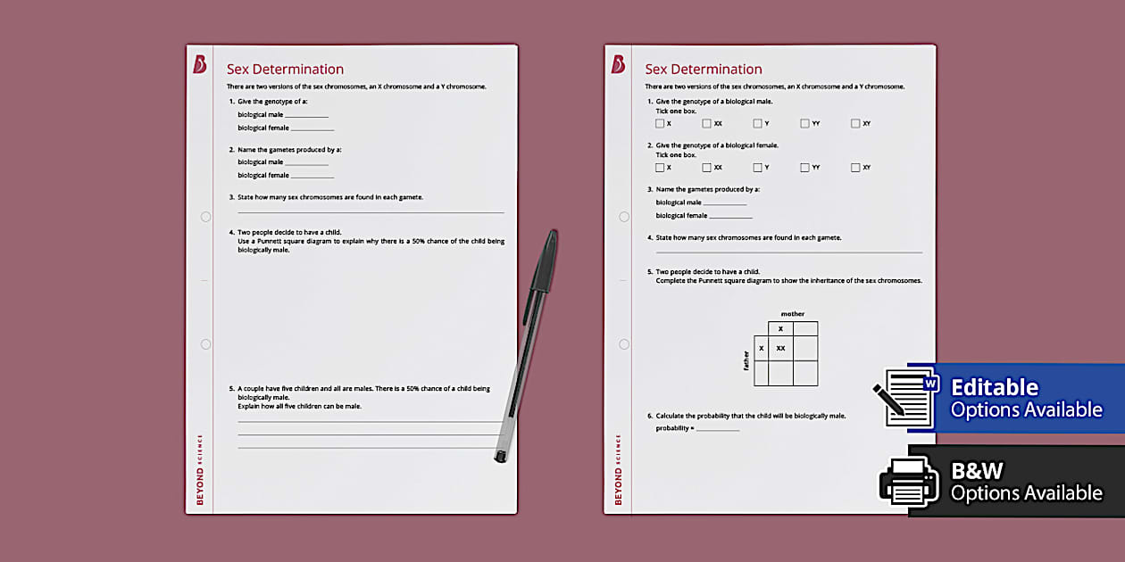 Sex Determination Worksheet (teacher made) - Twinkl