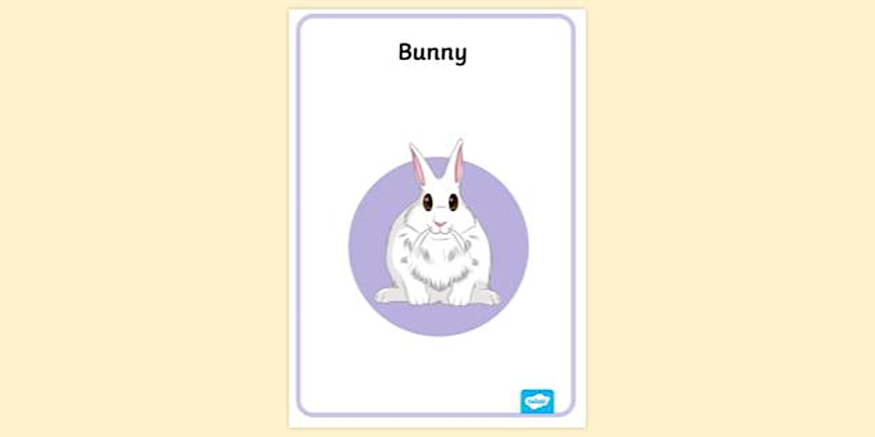 Bunny Poster | Display Posters | Primary Resources - Twinkl