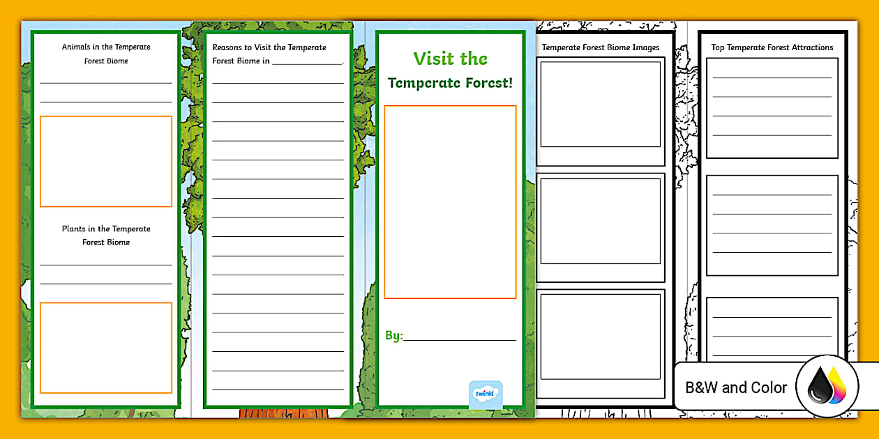 Temperate Forest Biome Travel Brochure for 3rd-5th Grade