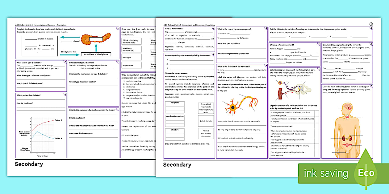 AQA Biology (Combined) Unit 5: Homeostasis and Response Foundation Revision