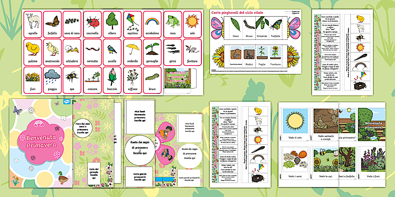 Lapbook di Primavera (Teacher-Made) - Twinkl