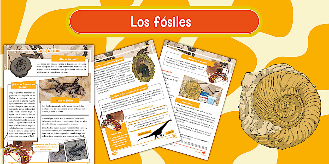 Ficha informativa: Los fósiles