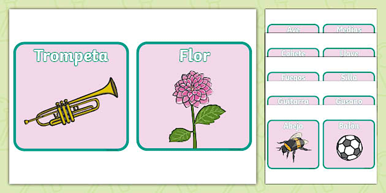 Juego de clasificación: fuentes de sonido - Twinkl Colombia