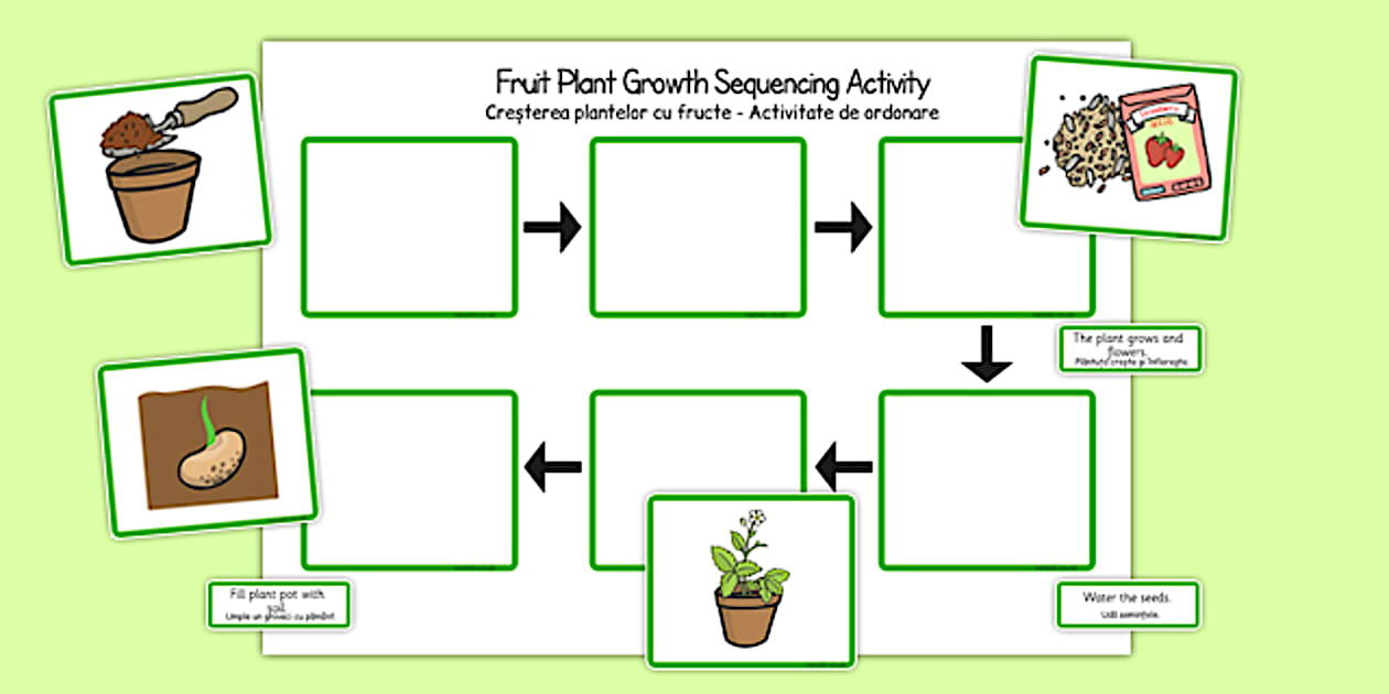 Plant Growth Sequencing Activity Romanian Translation