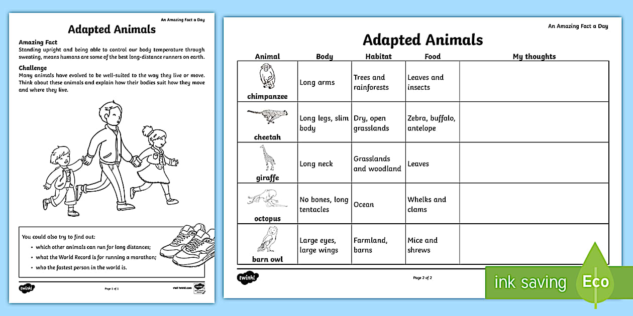 Adapted Animals Worksheet / Worksheet (teacher made)