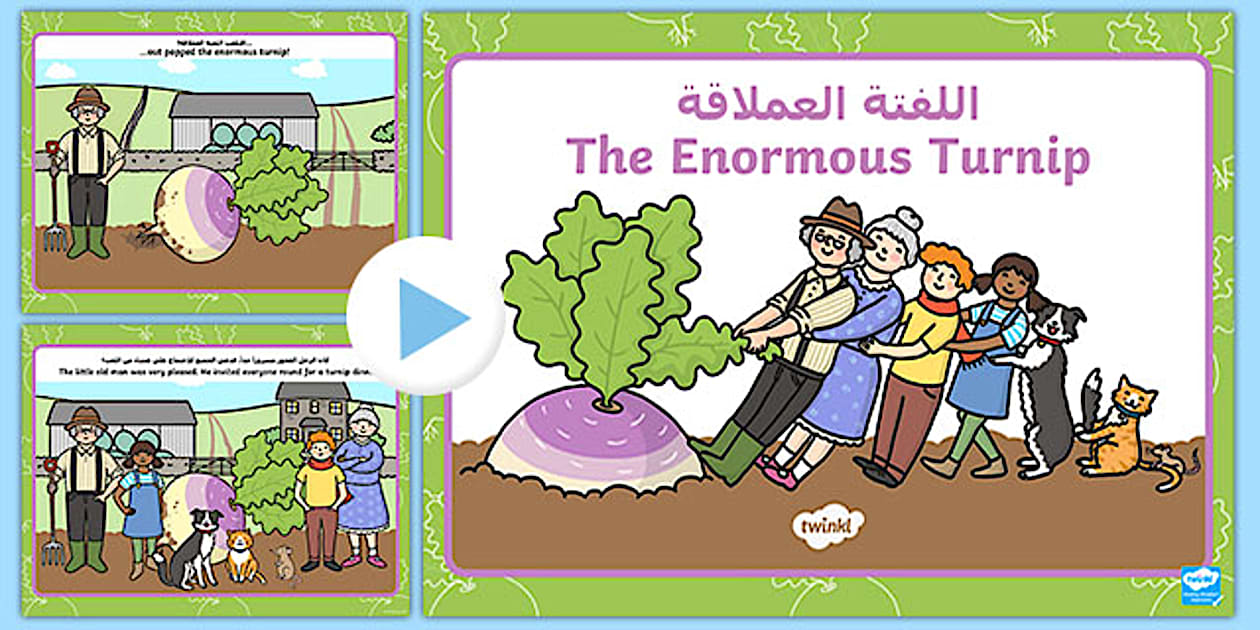 The Enormous Turnip Story PowerPoint Arabic/English - Twinkl