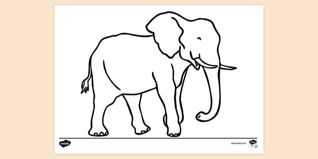 Elephant Colouring Sheet | Animal Colouring Pages - Twinkl