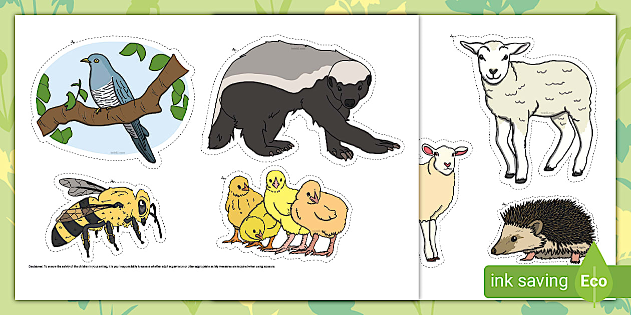 Spring Aistear Animals Display Cut-Outs (teacher made)