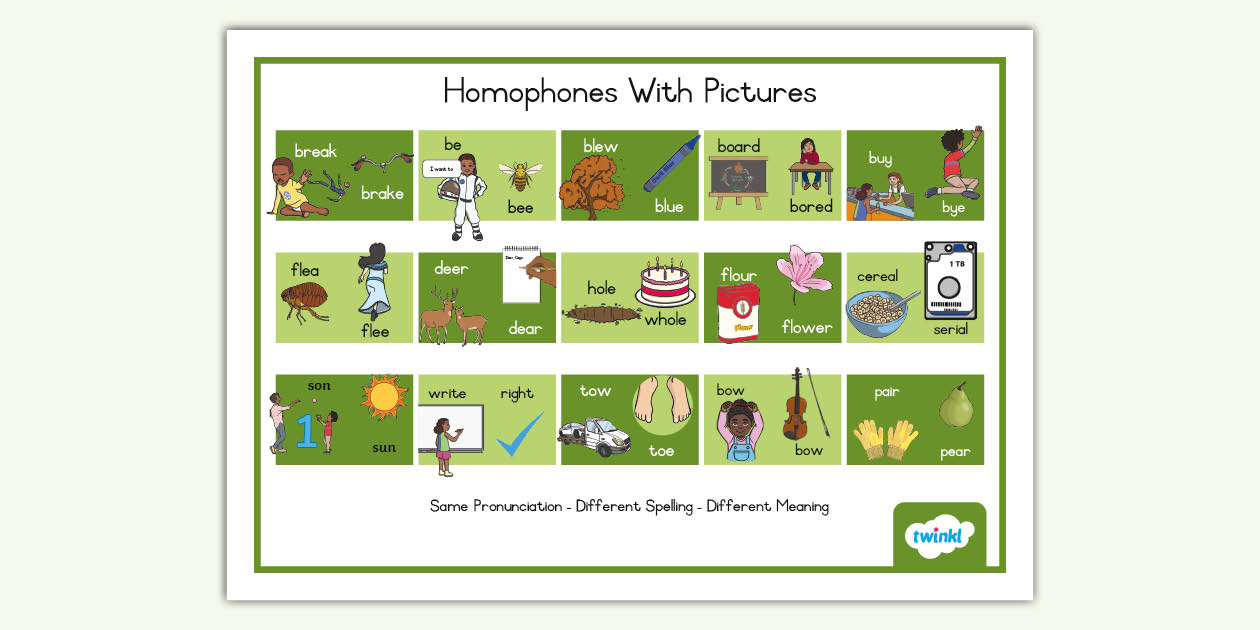 * NEW * Grade 3 Phonics: Homophones With Pictures - Twinkl