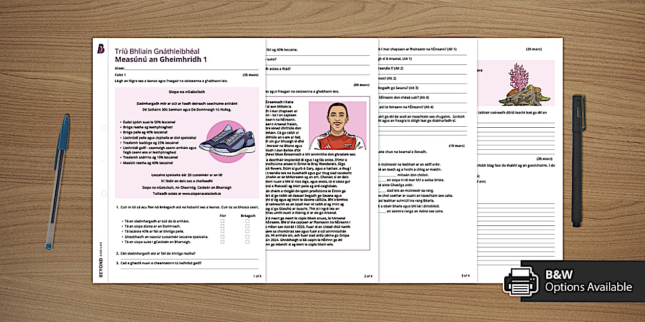 Tríú Bhliain Gnáthleibhéal - Measúnú an Gheimhridh 1