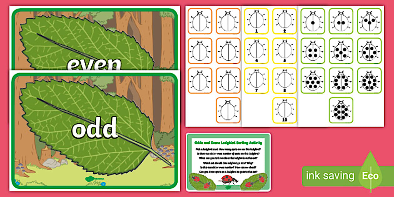 👉 Odds and Evens Ladybird Sorting Activity (teacher made)