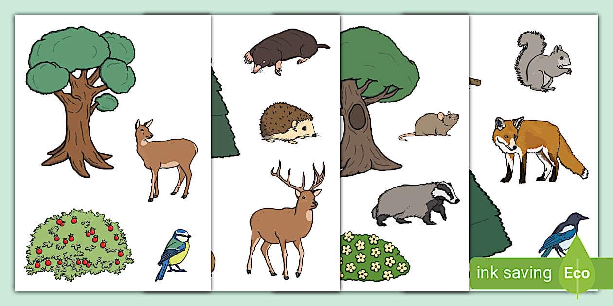 Woodland Small World Characters | Twinkl (teacher made)