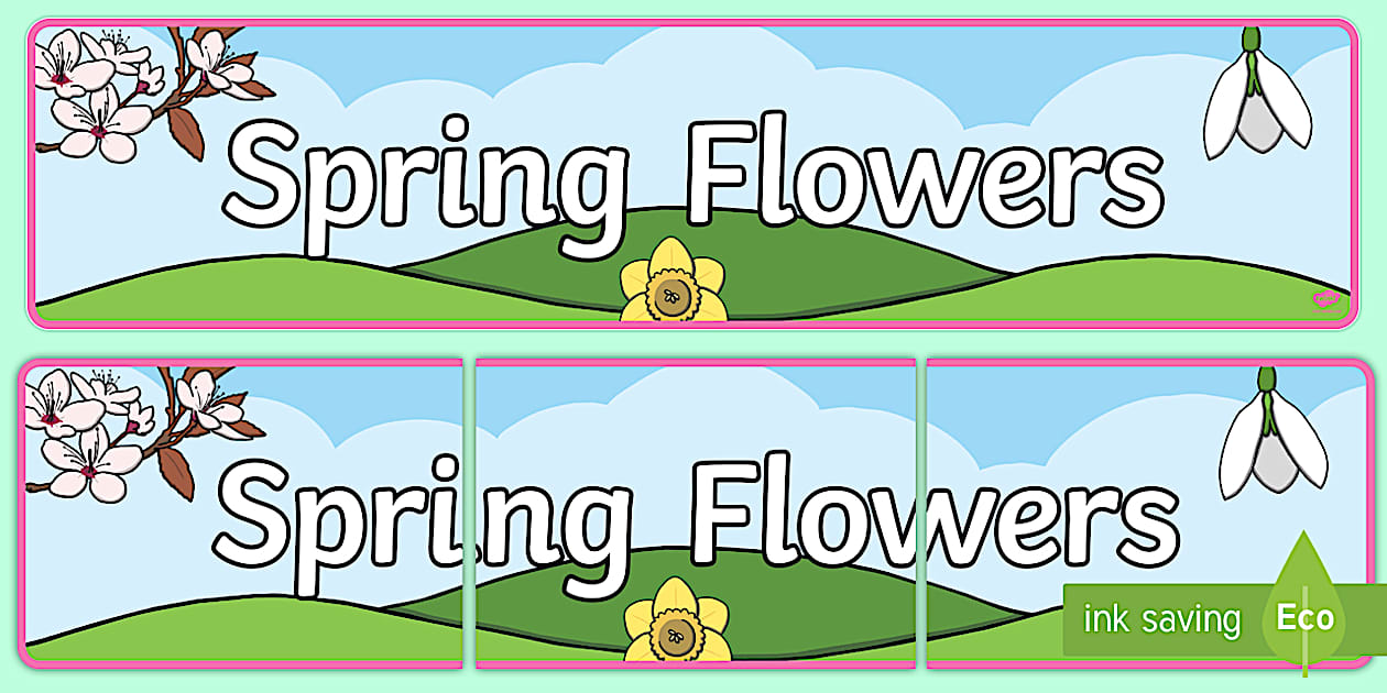 Spring Flowers Display Banner (teacher made) - Twinkl