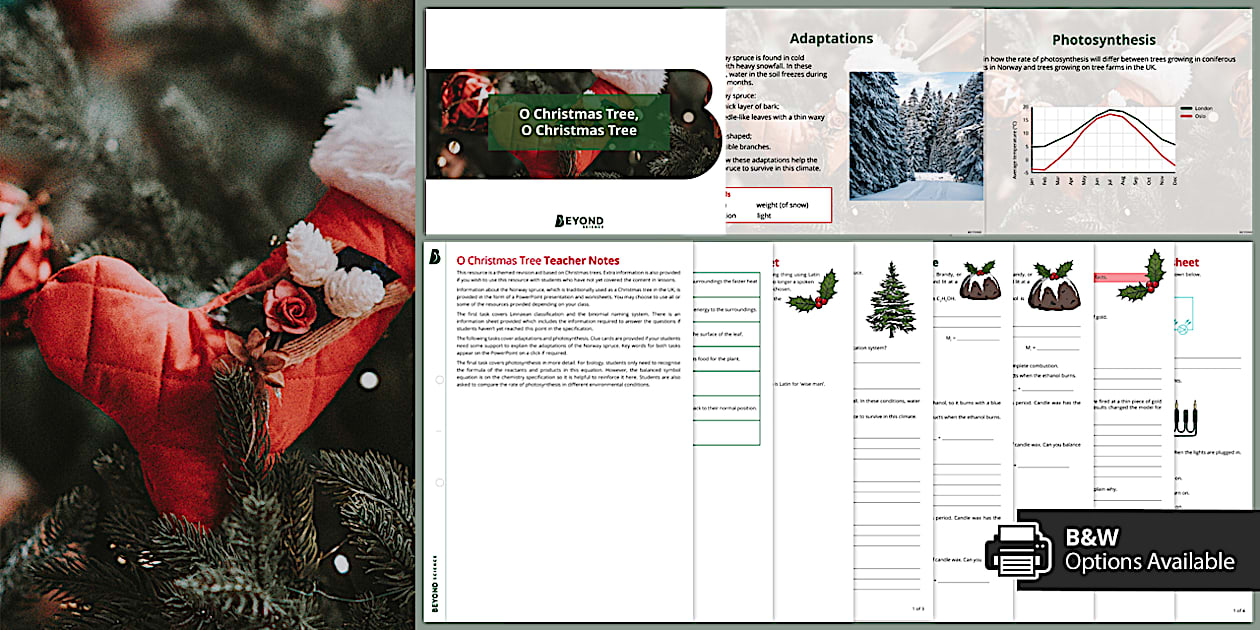 Christmas Science Resource Pack | Beyond Secondary - Twinkl