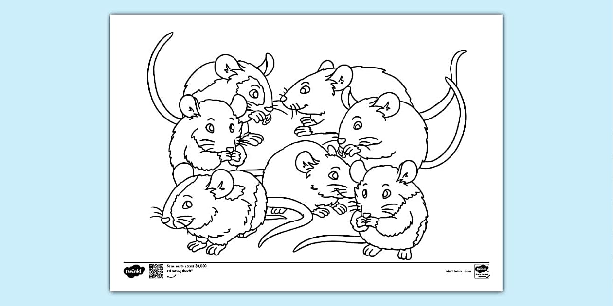 Mice Colouring Page | Colouring Sheets - Twinkl