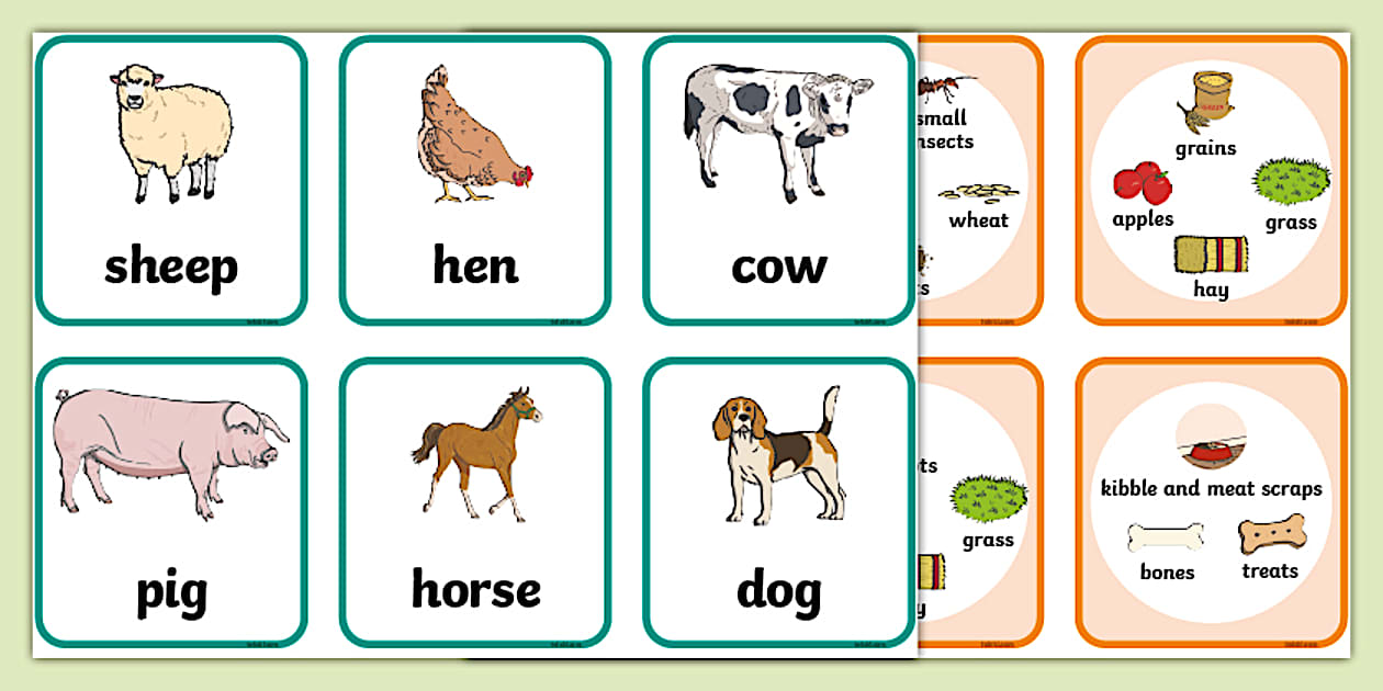 Farm Animals and Their Diets Matching Activity - Twinkl