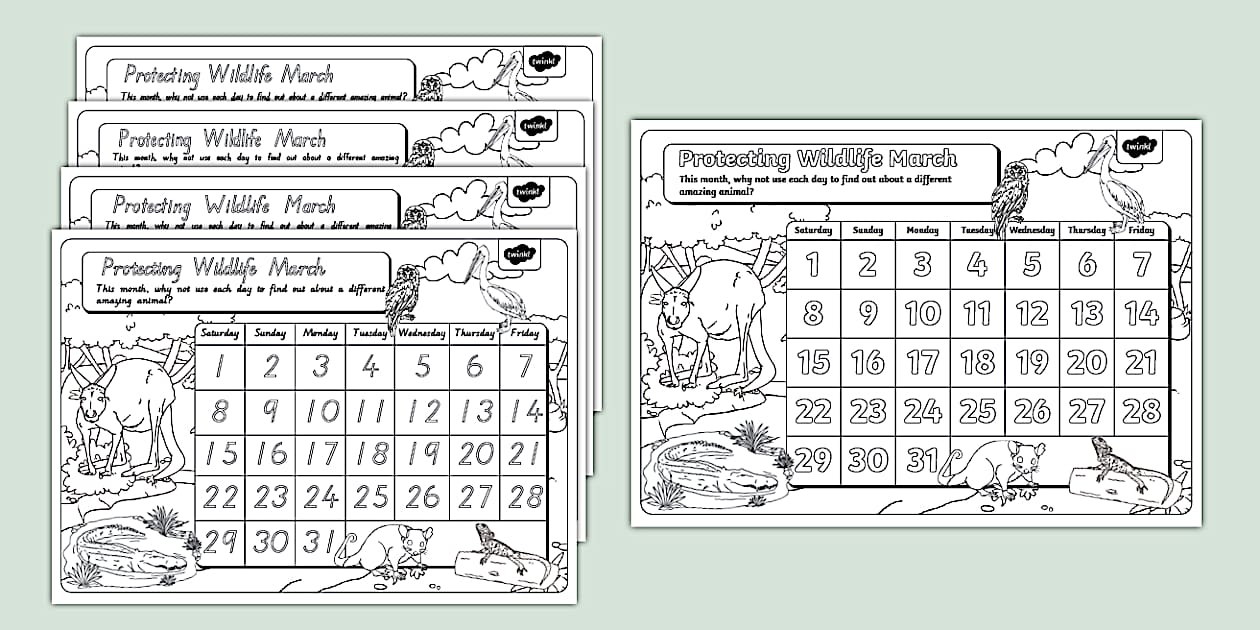 Protecting Wildlife March Colouring Calendar