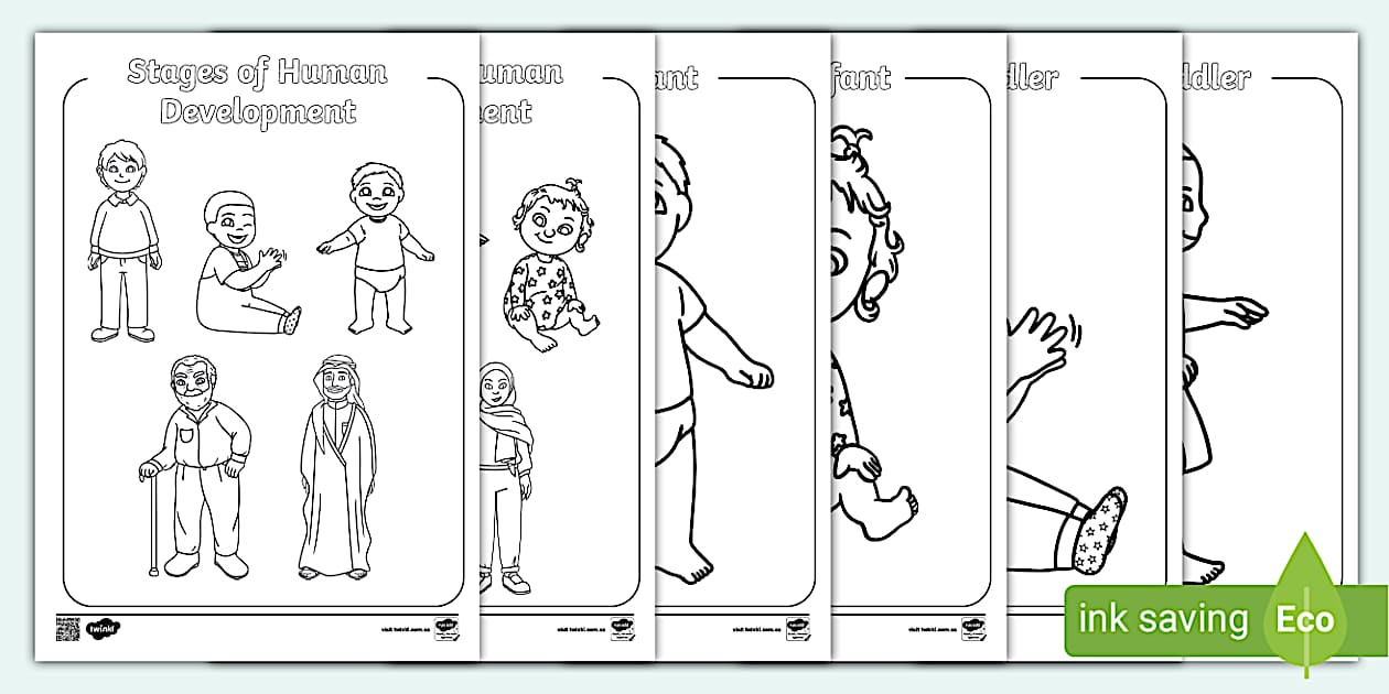 Coloring Activity - Stages of Human Development - Twinkl