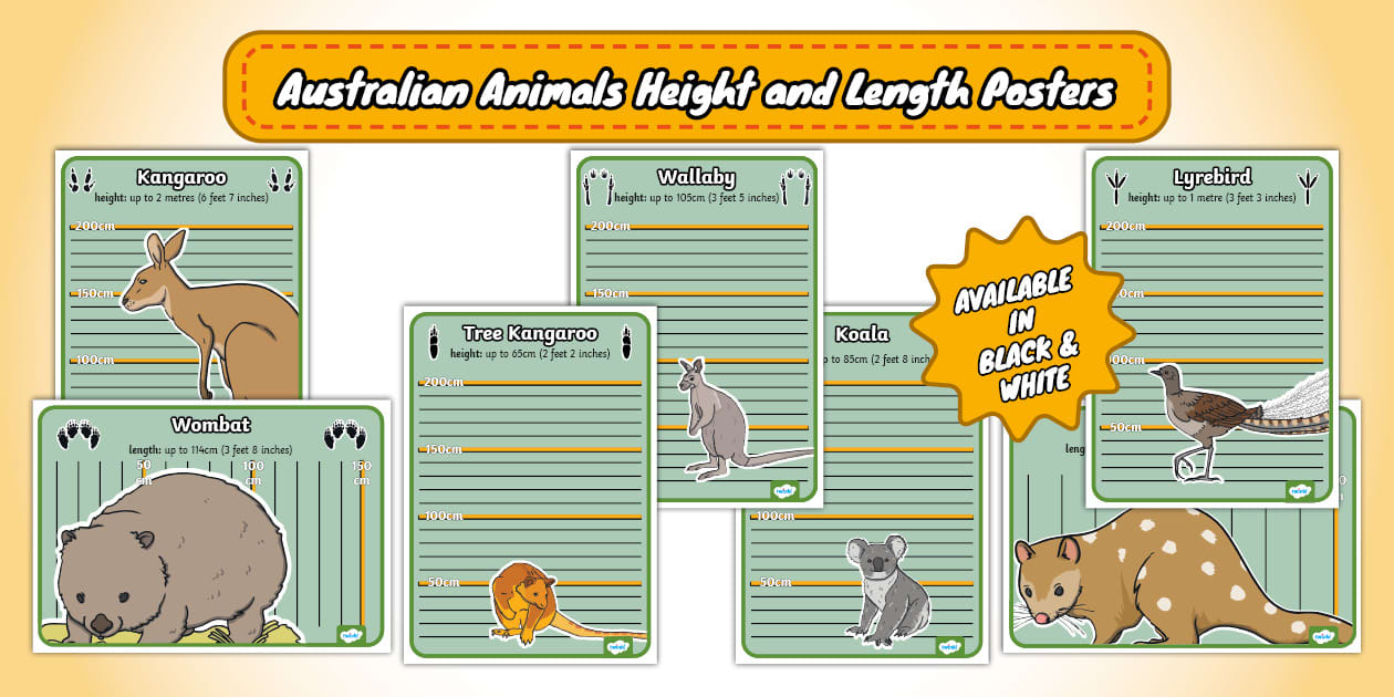 Australian Animals Height Posters