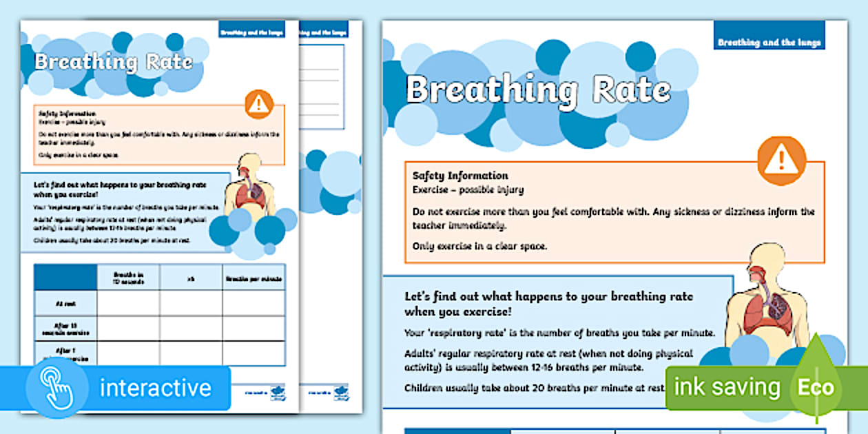 Breathing and the Lungs Breathing Rate Worksheet 3rd & 4th classes