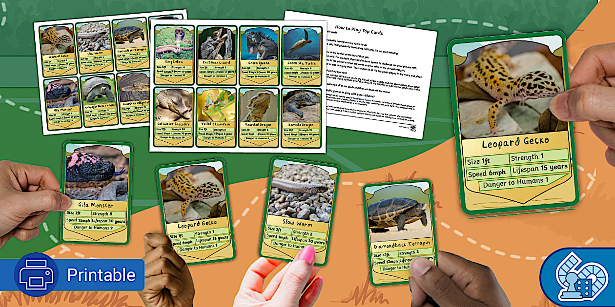 Reptiles Top Cards Game (teacher made) - Twinkl