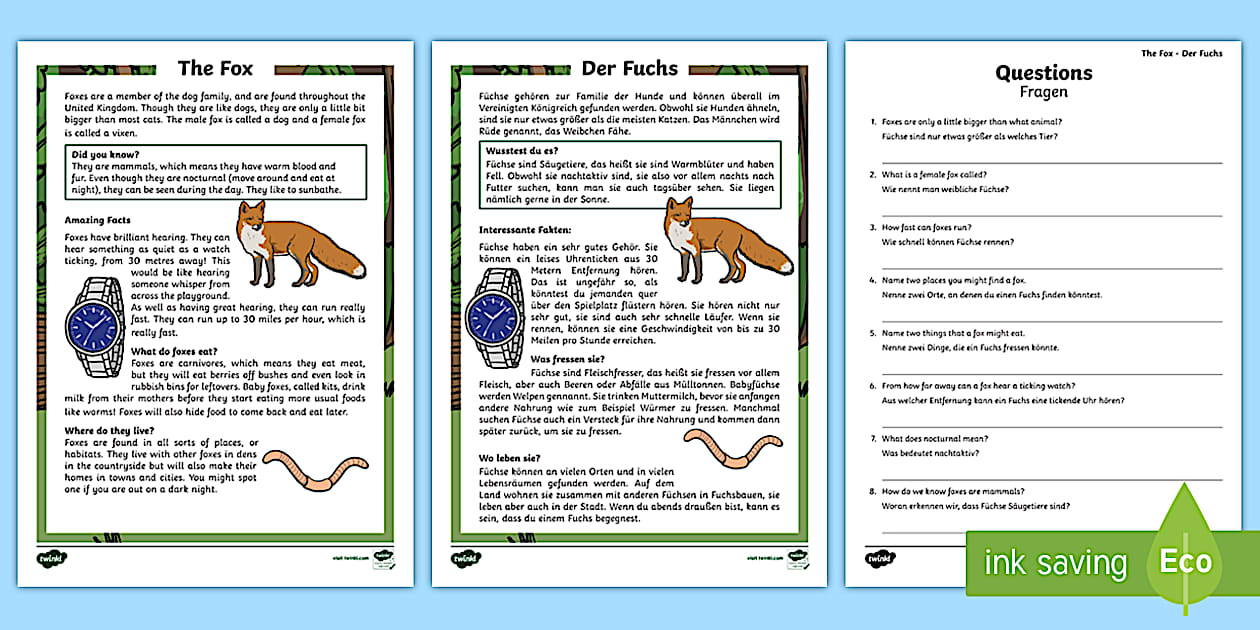 Fox Reading Comprehension Worksheet / Worksheets English/German