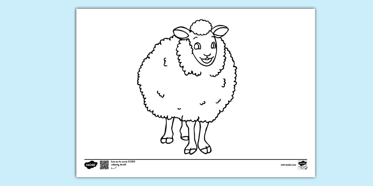 Sheep Colouring Sheet | Colouring Pages (teacher made)