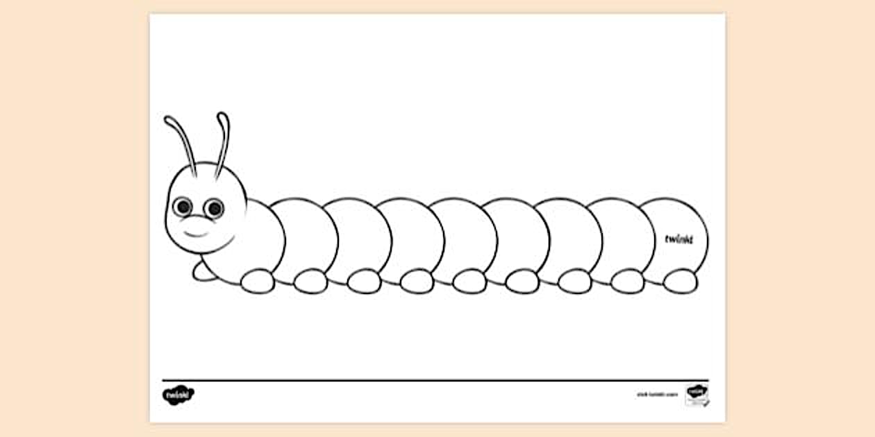 Caterpillar Colouring Sheet - Primary School - Twinkl