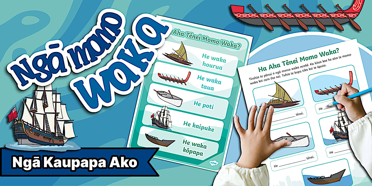 He Aha Tēnei Momo Waka?