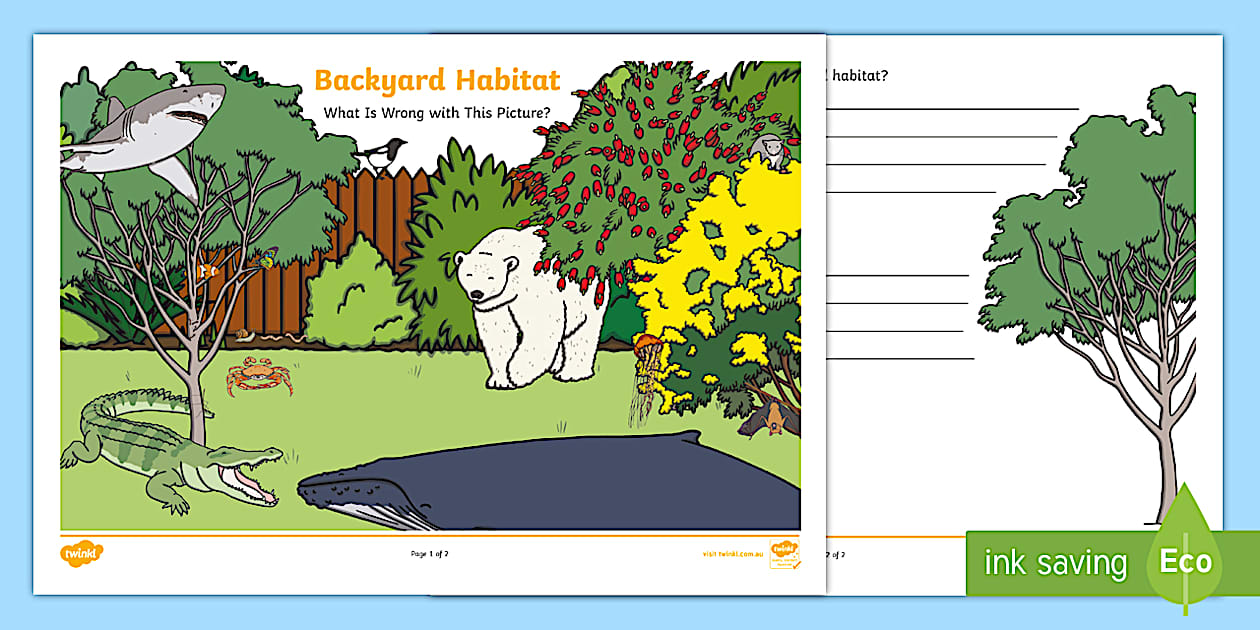 SA What's Wrong with the Backyard Habitat? Worksheet
