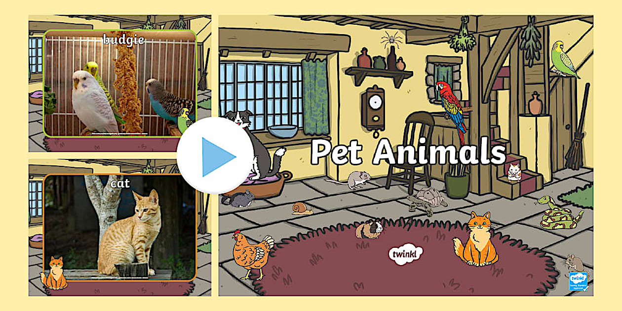 Pet Animals Photographs PowerPoint