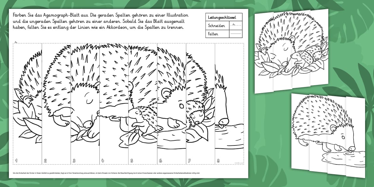 Igel - Agamograph - Twinkl Ausmalbilder (teacher made)