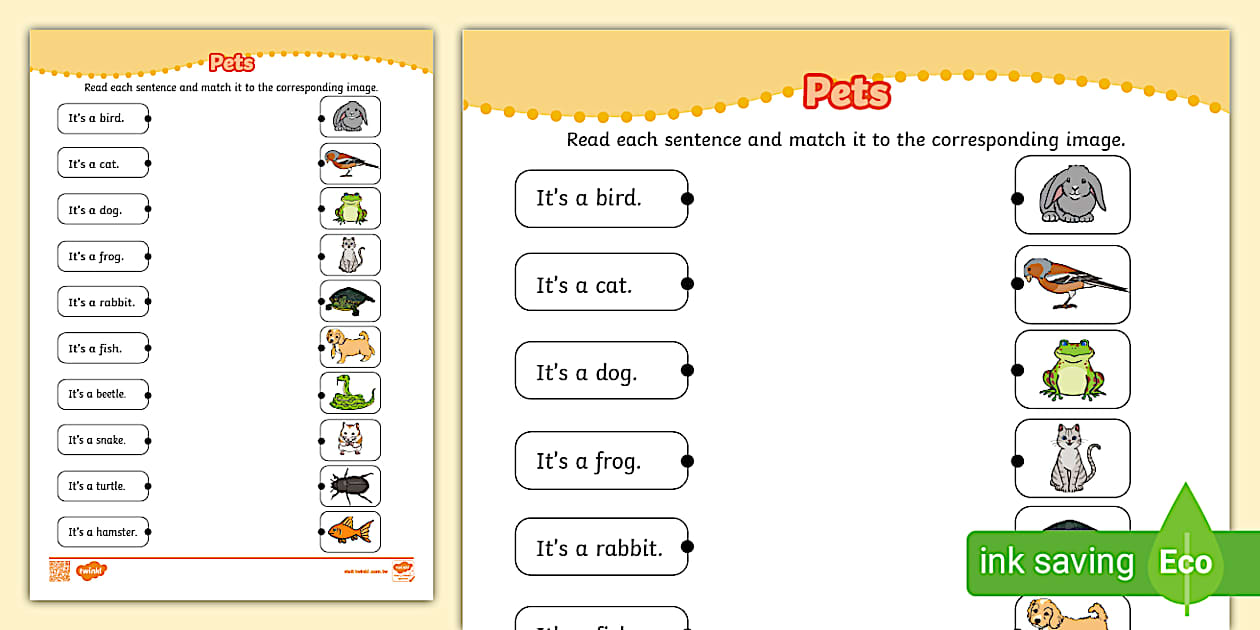 寵物配對學習單｜Pets Matching Worksheet｜小三適用