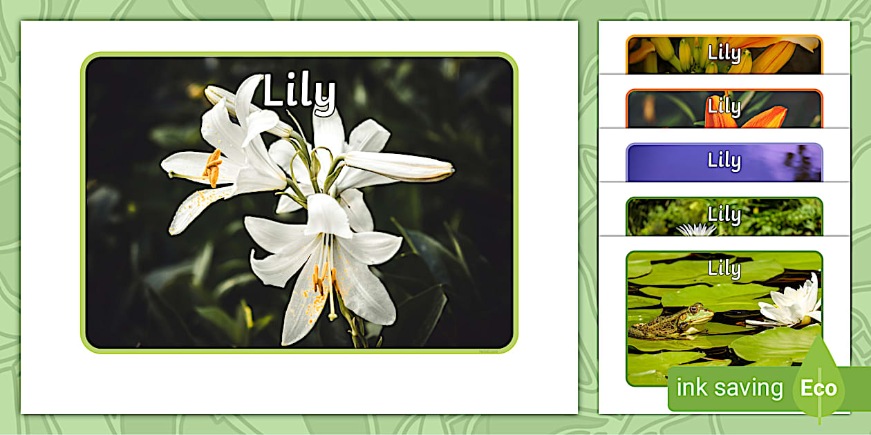 Lily Photo Pack (professor feito) - Twinkl