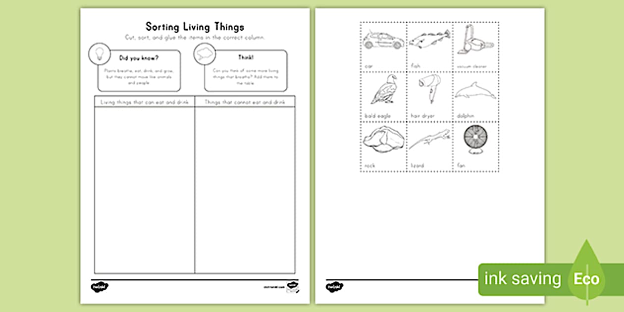 Living and Nonliving Things Sorting by Eating and Drinking Activity