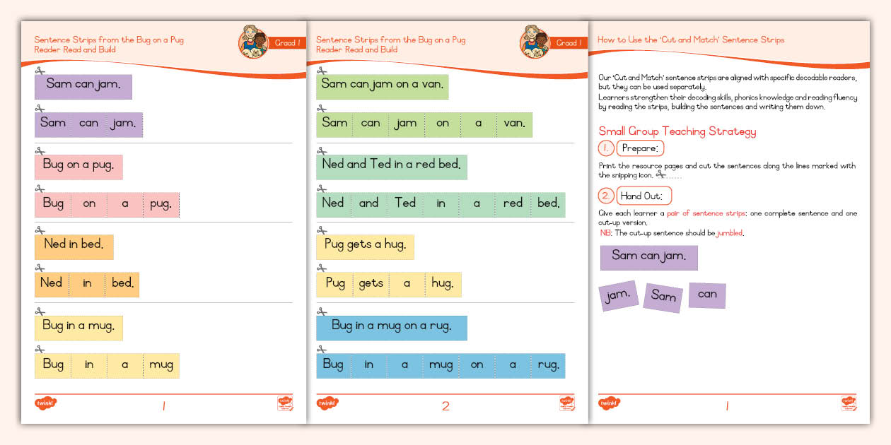 Read and Build Sentence Strips: Bug on a Pug (teacher made)