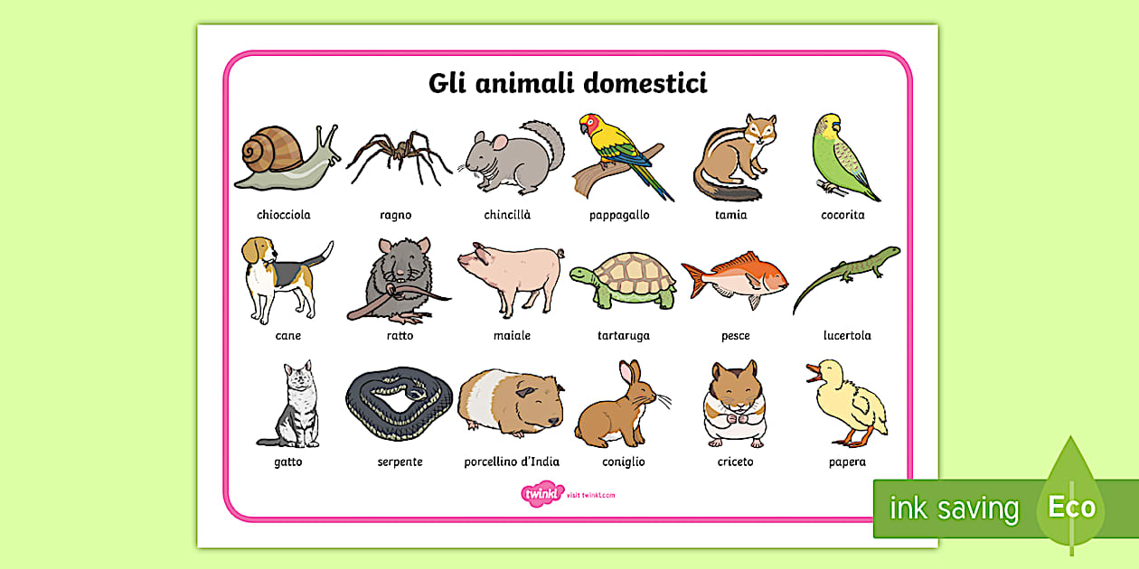 Gli animali domestici Vocabolario Illustrato